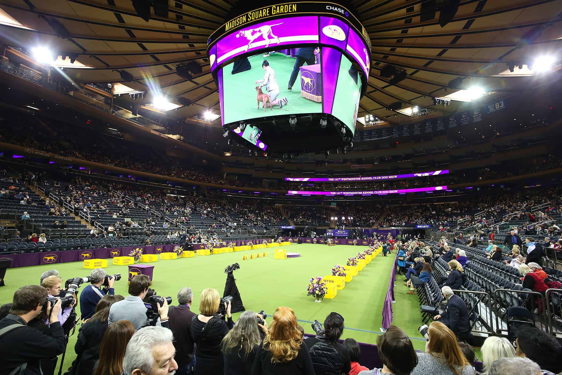 Madison Square Garden, le stade le plus connu de New York